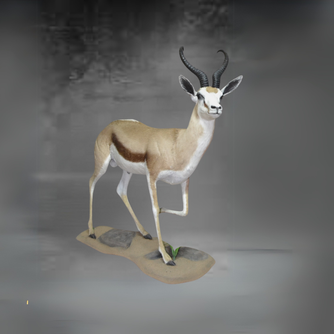 Full mounts – Game Over Taxidermy